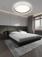 China NEW Indoor Livingroom LED Ceiling Light LED Panel Lamp 3 Colors Indoor Downlight Bedroom Ceiling Lights for sale