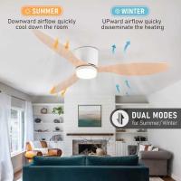 China Energy Saving Modern LED Ceiling Fan 36W 650mm Leaf Ceiling Fan With Light for sale