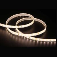 China 12V 24V LED light strip IP65 SMD COB Single Double LED Strip Lights for sale