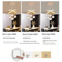 China Home Acrylic Staircase Pendant Chandelier Lighting For Living Room Restaurant for sale