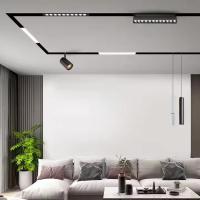 China Magnetic LED Track Light 12W 6W 18W 48V White 1-10V Dimming Foldable Spotlight For Home Hotel for sale