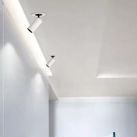 China Adjustasble Recessed LED Spotlights 10W 15W 25W 30W COB Retractable Downlight for sale
