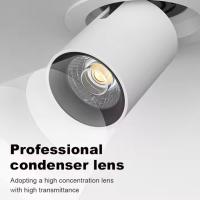 China Adjustasble Recessed LED Spotlights 10W 15W 25W 30W COB Retractable Downlight for sale