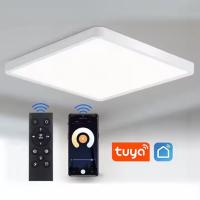 China Remote Control CCT LED Ceiling Light Square Smart LED Panel Lamp For Living Room for sale