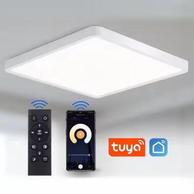 China Remote Control CCT LED Ceiling Light Square Smart LED Panel Lamp For Living Room for sale