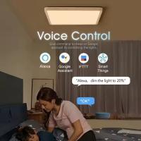 China Remote Control CCT LED Ceiling Light Square Smart LED Panel Lamp For Living Room for sale
