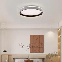 China Modern Flush Mount LED Ceiling Lights Fixture For Living Room Hallway Bedroom Home Hotel for sale