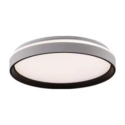 China Modern Flush Mount LED Ceiling Lights Fixture For Living Room Hallway Bedroom Home Hotel for sale