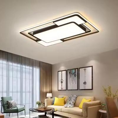 China Modern LED Ceiling Lamp 4000K  Bedroom Restaurant Hotel Commercial LED Panel Ceiling Light for sale