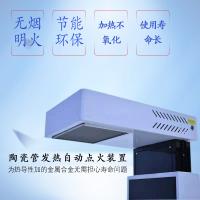 China Smokeless Physiotherapy Machine Moxibustion Infrared Beauty Machine Accessories for sale