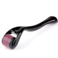 China Titanium 540 Microneedle Derma Roller , Ice Stamp Beard Derma Roller for sale
