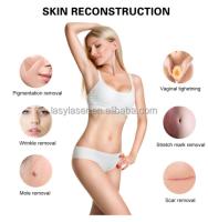 China Dermatology Erbium Fractional CO2 Laser Machine Vaginal Skin Rejuvenation Laser Machine for sale