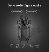 China 40khz Vacuum Radio Frequency Body Sculpting Machine , 220v Emslim Neo Machine for sale