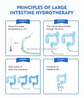 China 220v Colon Hydrotherapy Machine Skin Rejuvenation 2L/Min Colonix Machine for sale