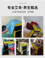 China Salon Moxibustion Skin Rejuvenation Machine Smokeless Fumigation for sale