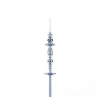 China A572 Ss400 Monopole Telecommunications Tower Polygonal Internet Signal for sale