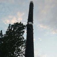 China Hot Dipped 180km/H Tree Antenna Tower , Q235b Fake Pine Tree Cell Tower for sale