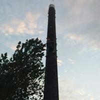 China Q345 Galvanized Steel Camouflage Cell Towers Telecommunication Bionic Monopole Antenna for sale