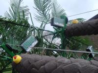 China Telecommunication Camouflaged Palm Tree Tower Gsm Monopole for sale