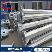 China Millimeter Wave Radio Cell Microwave Communication Towers Antenna Customized Disguised Coconut Cell for sale