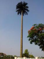 China FRP Camouflage Cell Towers 10-45 Meters Height for sale