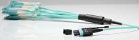 China High Density MTP MPO Patch Cord 12F 24F LSZH OFNR OFNP Jacket Custom for sale