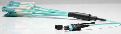 China High Density MTP MPO Patch Cord 12F 24F LSZH OFNR OFNP Jacket Custom for sale