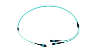 China 24 Fiber MPO MTP Trunk Cable 4.5mm Outer Jacket Multimode for sale