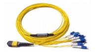 China 12 Fiber MTP MPO Patchcord Fibre Optic Harness for Data Center 3.0mm LSZH for sale
