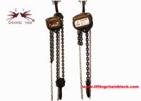 China Integreted Bearing Manual Chain Block Lifting Device Hook Hand Vital Type for sale