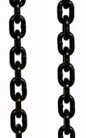 China 1000kgs Compact Manual Chain Block Unpowered Lifter Vital Type for sale