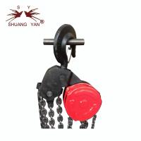 China 10T 3M-12M Chain Hoist Lift Economical Safe Reliable Drop Forged Heat Treated for sale