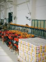 China Reliable Manual Chain Block , Chain Hoist Accessories Safe Mechanical Brake for sale