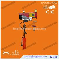 China 100kg 200kg 300kg Electric Wire Rope Hoist Low Power Consumption for sale