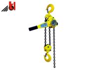 China Silver 41 Safety Alloy Lever Steel Chain Hoist 6mm Galvanized CE GS Certified for sale