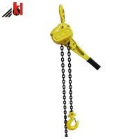 China HSH-A Type 1.5 Ton 1.5m Lever Chain Block Ratchet Lever Crane for sale
