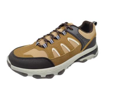 China Men's Hiking Shoes for sale