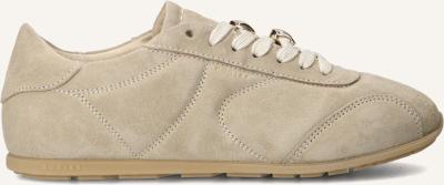 China Lady's Casual Sneekers for sale