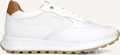 China Lady's Casual Sneekers for sale