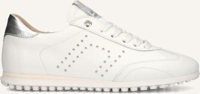 China Lady's Casual Sneekers for sale