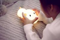 China Lovely Animal Shaped Night Lights Rechargeable Night Lamp For Kids Gift for sale