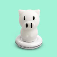 China Low Voltage Rechargeable Night Lamp Non - Toxic Environmentally Friendly for sale