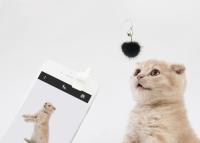 China Custom Self Activated Cat Toys / Educational Cat Toys Rod Optional Attachments for sale