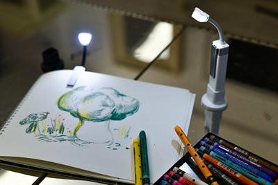 China Comfortable Book Reading Led Lamp / Travel Book Light No Flicker for sale