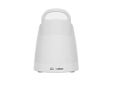 China Fashion Bluetooth Color Changing Lights / Home Decor Bluetooth Speaker With LED Lights for sale