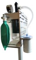 China High Performance  Veterinary Anesthesia Machine For Small Animal Anesthesia IV-1300 for sale