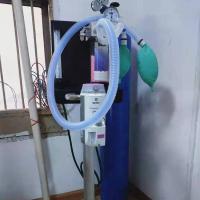 China Animal Anesthesia Machine Medical Equipment Equipment Icu Surgical Anesthesia Machine for sale