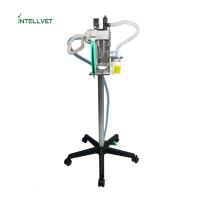 China Plastic Small Animal Anesthesia Machine Pets Treatment For Health for sale
