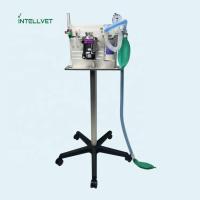 China Small Animal Medical Treatment Anesthesia Machine Medivet Veterinarian Clinic for sale