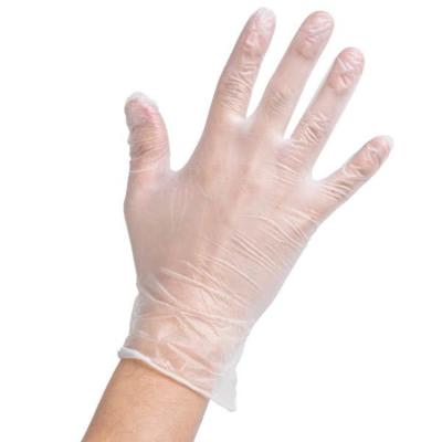 China Powder Free Vinyl Gloves 240mm Food Grade Cleaning Hand Protection Disposable PVC Gloves for sale